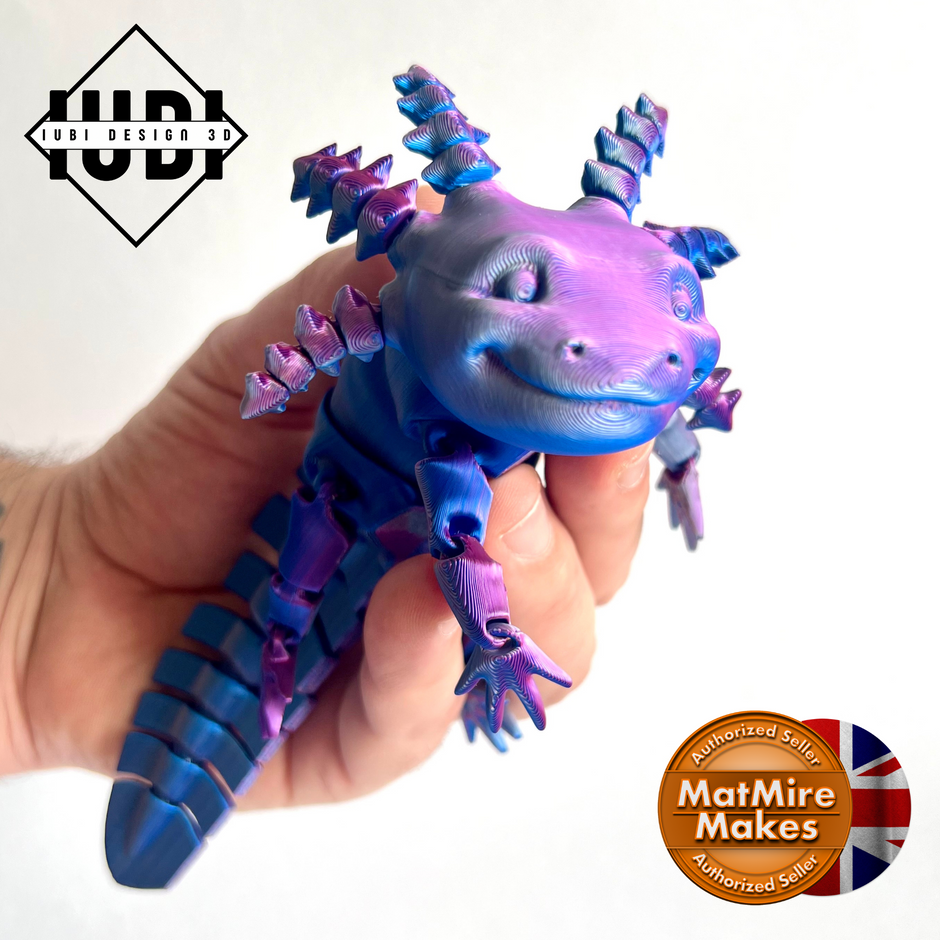 Iubi Design 3D | Explore 3D Printed Dragons, Fidget Toys, and more...